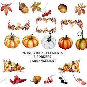 Fall Pumpkins Acorns Leaves & Berries Watercolor Clipart Set, Autumn ...