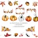 Fall Pumpkins Acorns Leaves & Berries Watercolor Clipart Set, Autumn ...