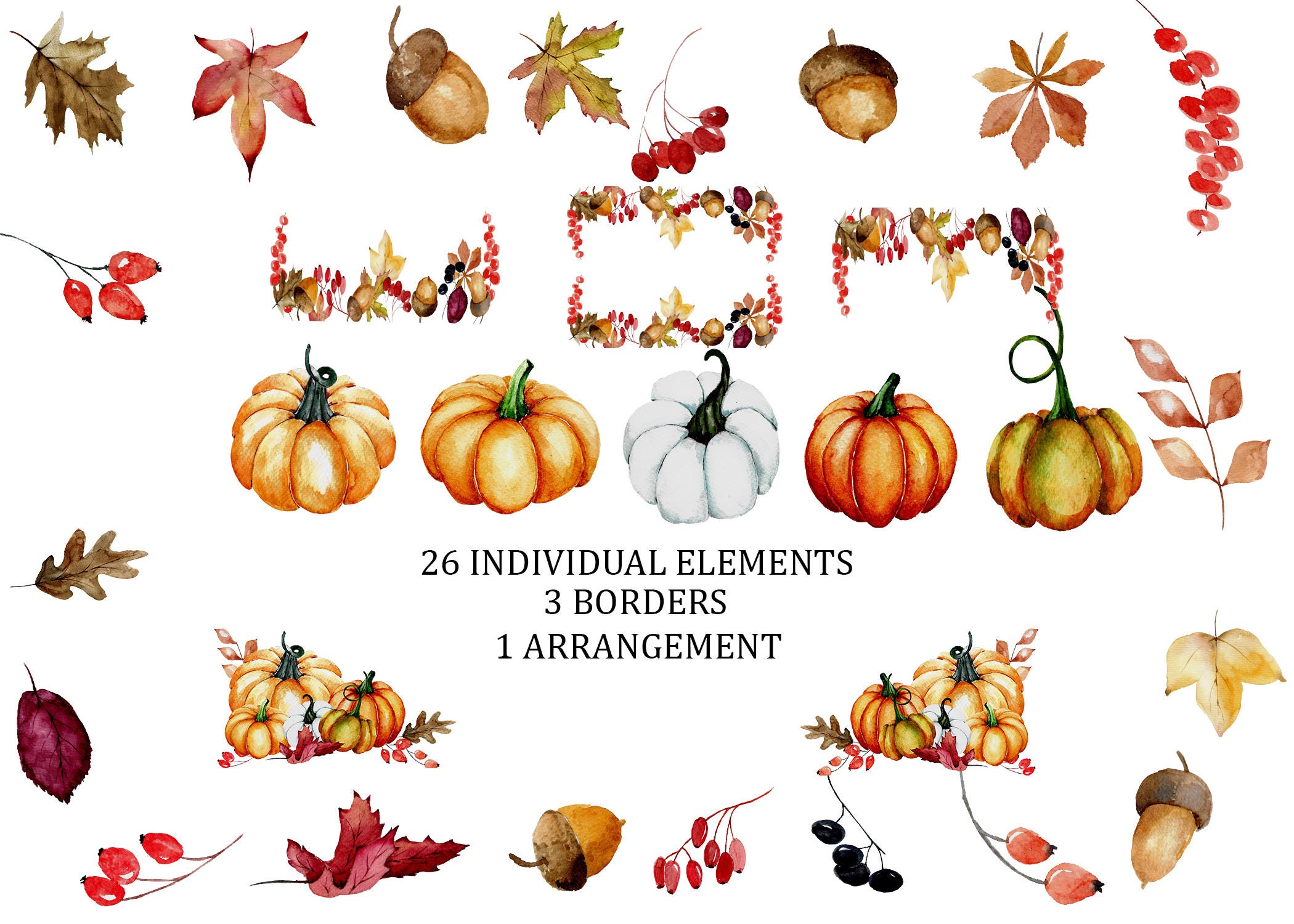Fall Pumpkins Acorns Leaves & Berries Watercolor Clipart Set, Autumn ...