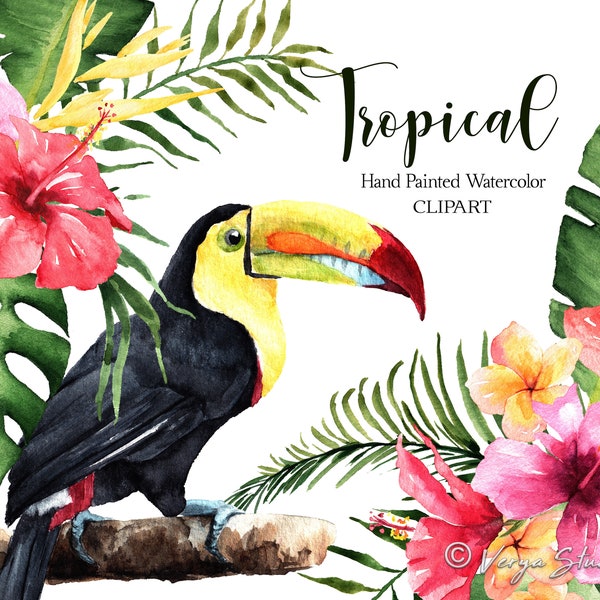 Tropical Clipart - Etsy