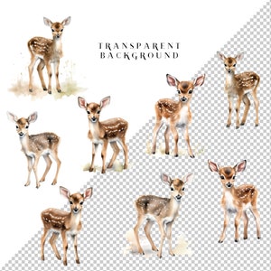 Deer Clipart Watercolor Cute Baby Deer Clip Art 8 PNG Bundle Fawn ...