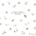 Watercolor Flowers Clipart White Ivory Cream Floral Clip Art Light ...