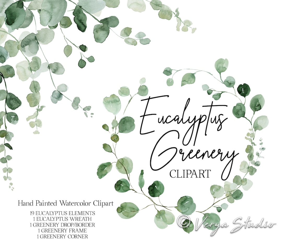 Greenery Clipart Watercolor Eucalyptus Clip Art Green Foliage Frames ...