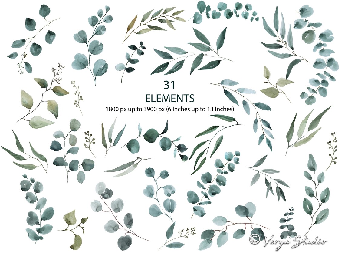 Watercolor Eucalyptus Greenery Clipart Floral Clip Art - Etsy