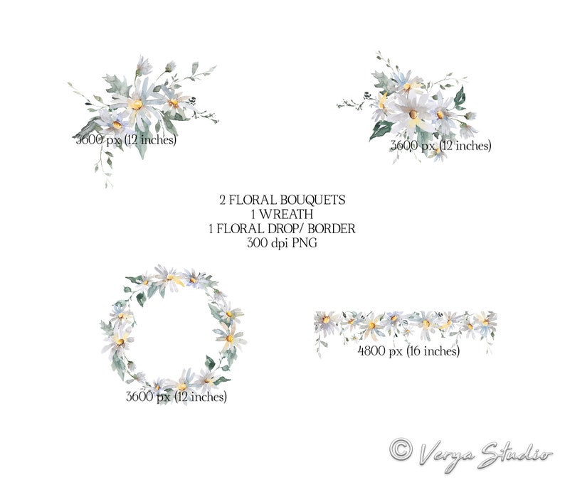 Daisies Watercolor Floral Clipart Spring Clip Art White Daisy Flower ...