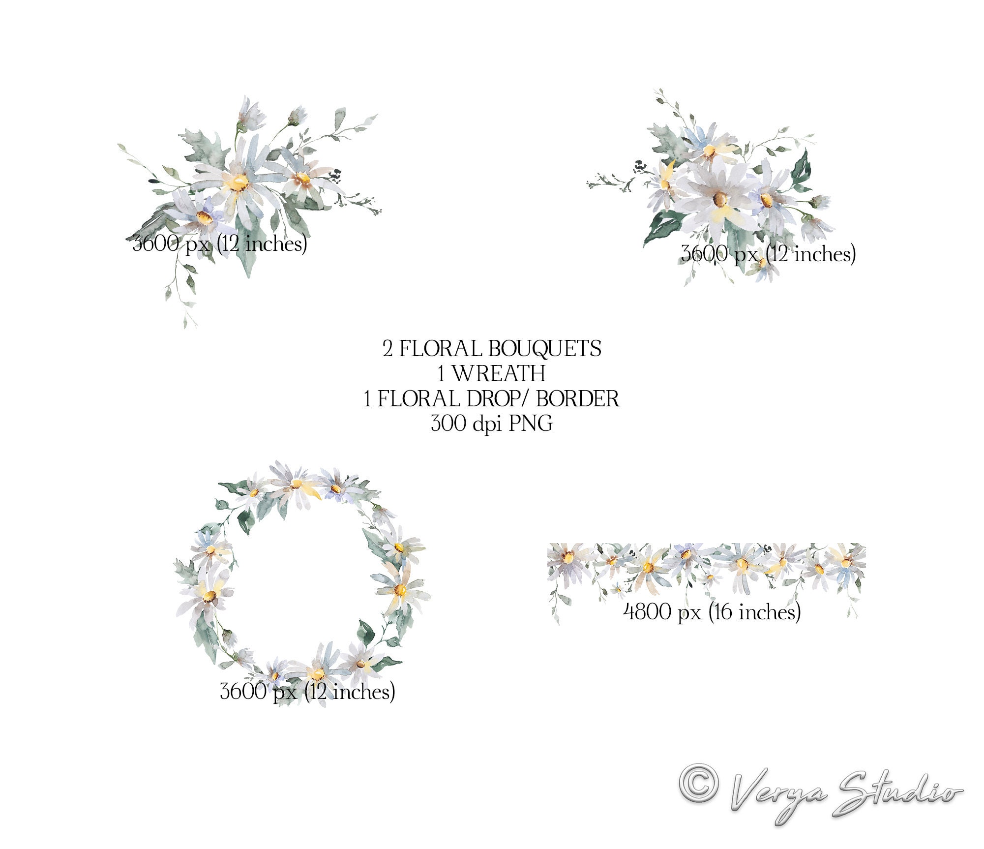 Daisies Watercolor Floral Clipart Spring Clip Art White Daisy - Etsy