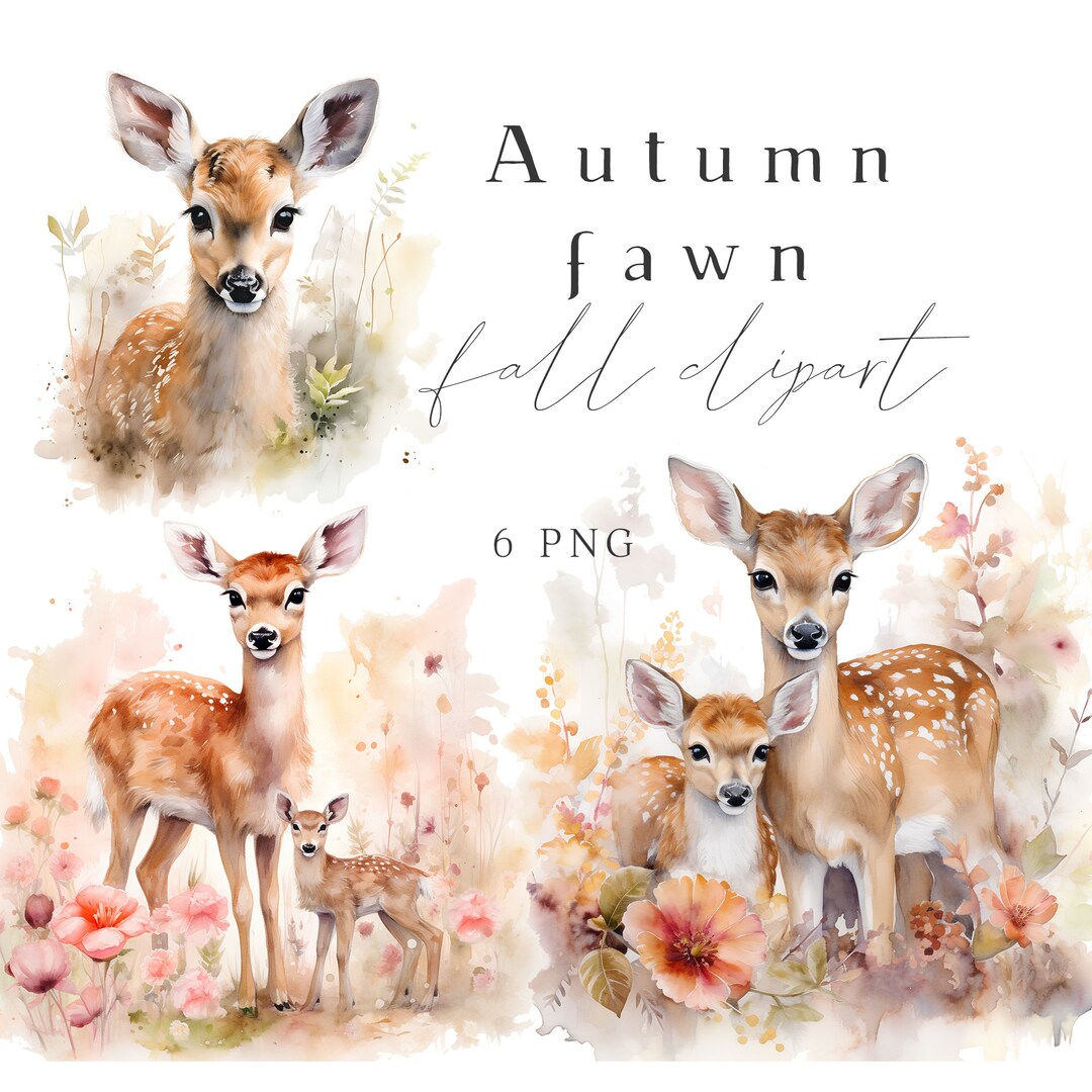 Autumn Fawn Clipart Watercolor Baby Deer Fall Floral Clip Art Woodland ...