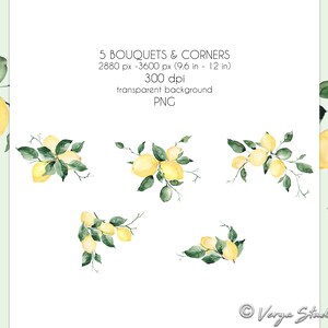 Lemon Clipart Watercolor Lemons Clip Art Summer Citrus Fruit Greenery ...