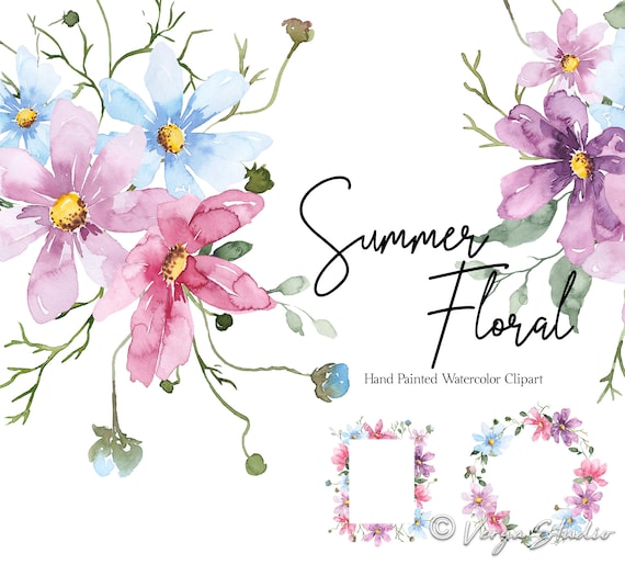 Summer Florals Watercolor Flowers Clip Art Cosmos Daisy Floral | Etsy