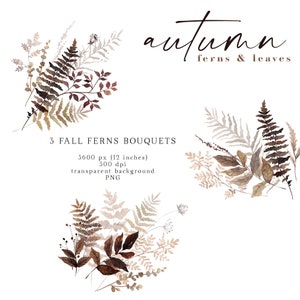 Boho Fern Fall Leaves Clipart Watercolor Dried Ferns Botanical Clip Art ...
