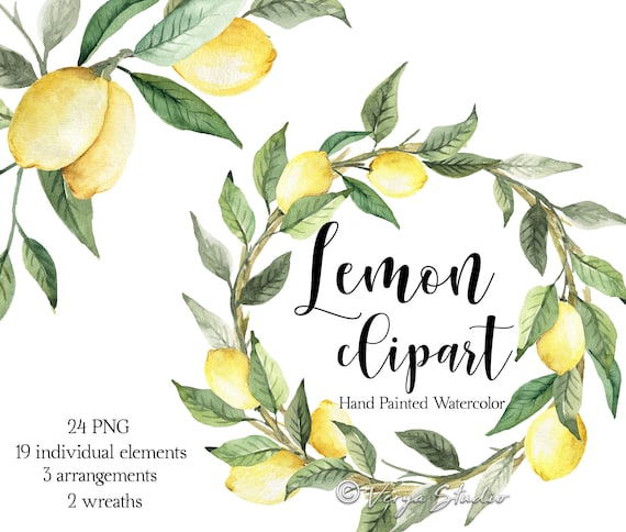 Watercolor Lemon Clipart Lemons Clip Art Yellow Summer Fruits | Etsy
