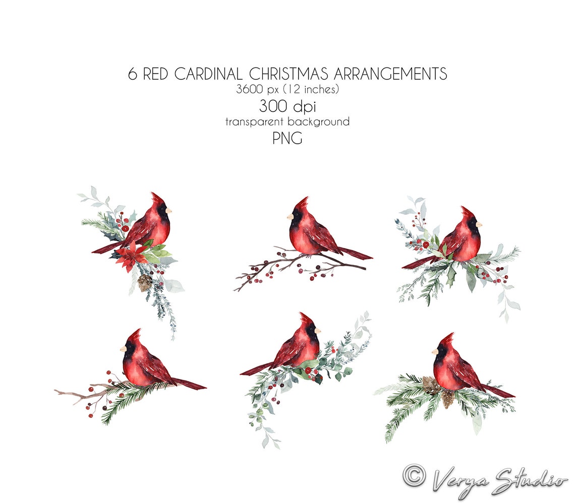 Red Cardinal Christmas Clipart Watercolor Xmas Clip Art Winter - Etsy