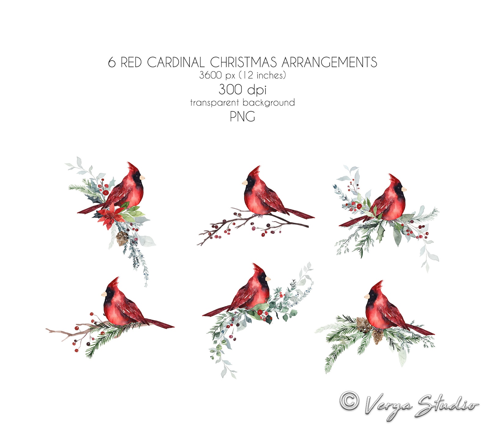 Red Cardinal Christmas Clipart Watercolor Xmas Clip Art Winter Bird ...