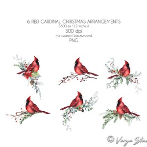 Red Cardinal Christmas Clipart Watercolor Xmas Clip Art Winter Bird ...