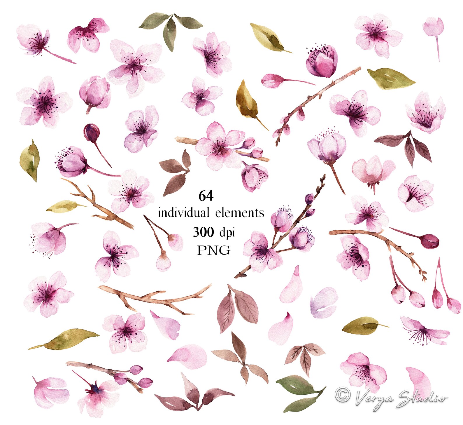 Sakura Cherry Blossoms Watercolor Floral Clipart. Watercolor - Etsy