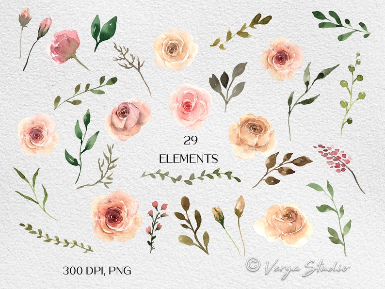 Watercolor Blush Cream Roses Clipart Floral Clip Art Light | Etsy