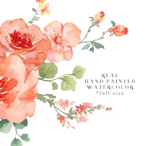 Peachy Floral Clipart Watercolor Peach Orange Flowers Clip Art Coral ...