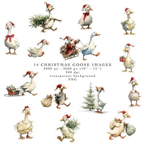 Goosemas Silly Goose Christmas Clipart, Watercolor Goose PNG, Funny ...