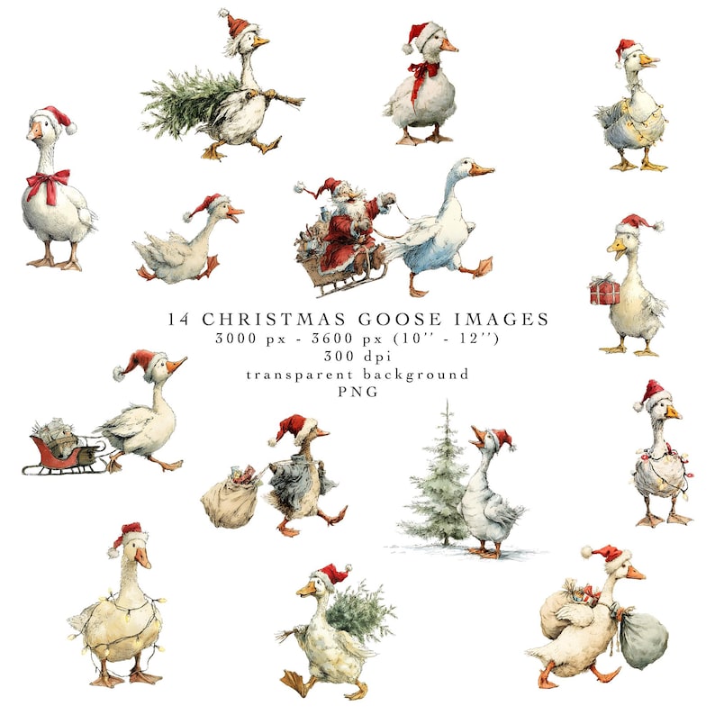 Goosemas Silly Goose Christmas Clipart, Watercolor Goose PNG, Funny ...