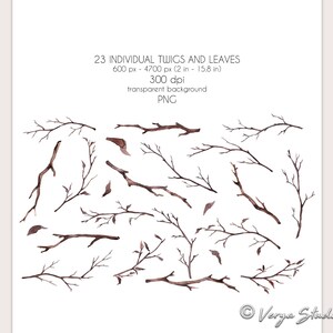 Twigs Clipart Watercolor Branches Clip Art Rustic Twig Borders Wreaths ...