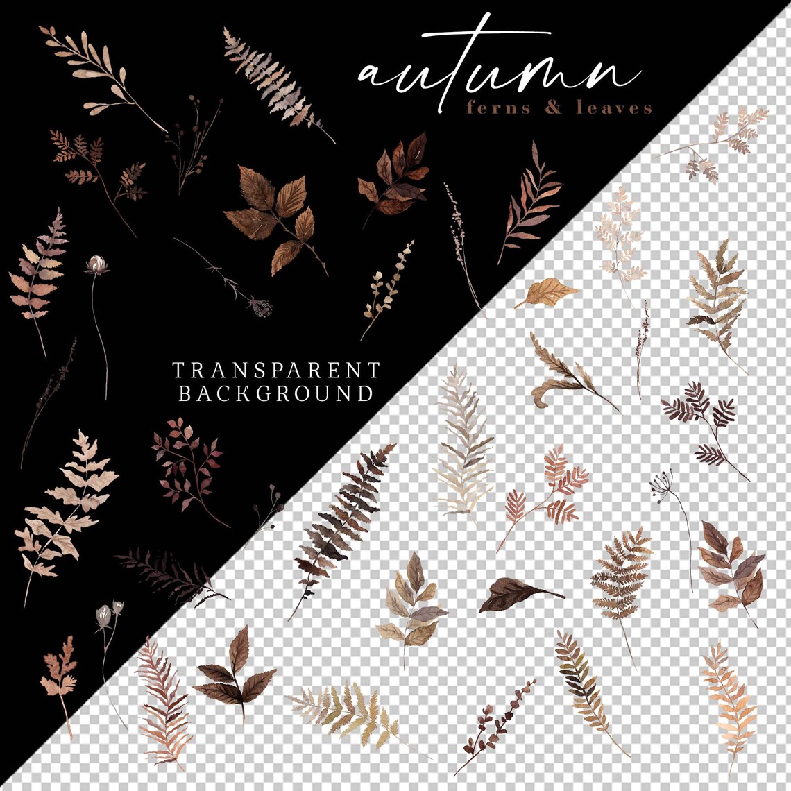 Boho Fern Fall Leaves Clipart Watercolor Dried Ferns Botanical Clip Art ...