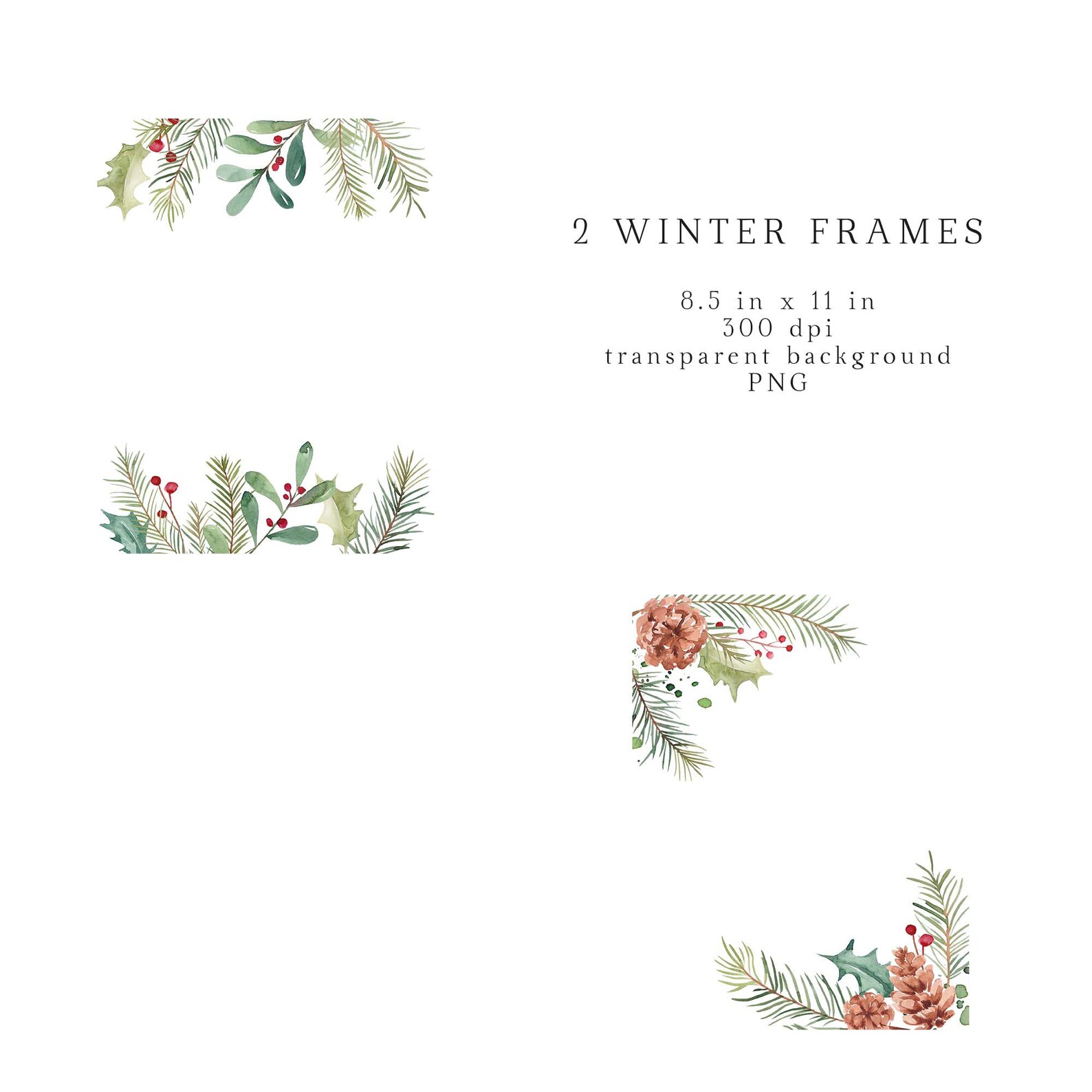 Pine Winter Berries Clipart Watercolor Christmas Clip Art Pine Cones ...