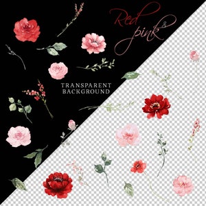 Crimson Floral Clipart Watercolor Red Blush Flowers Clip Art Wedding ...