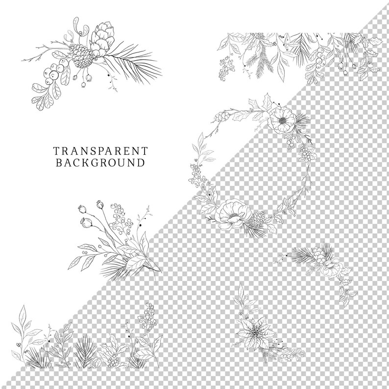 Christmas Botanical Lineart Clipart Winter Floral Line Art Pencil ...