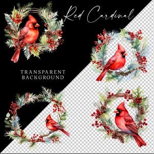 Christmas Clipart Red Cardinal Watercolor Clip Art Berries Pine Cones ...