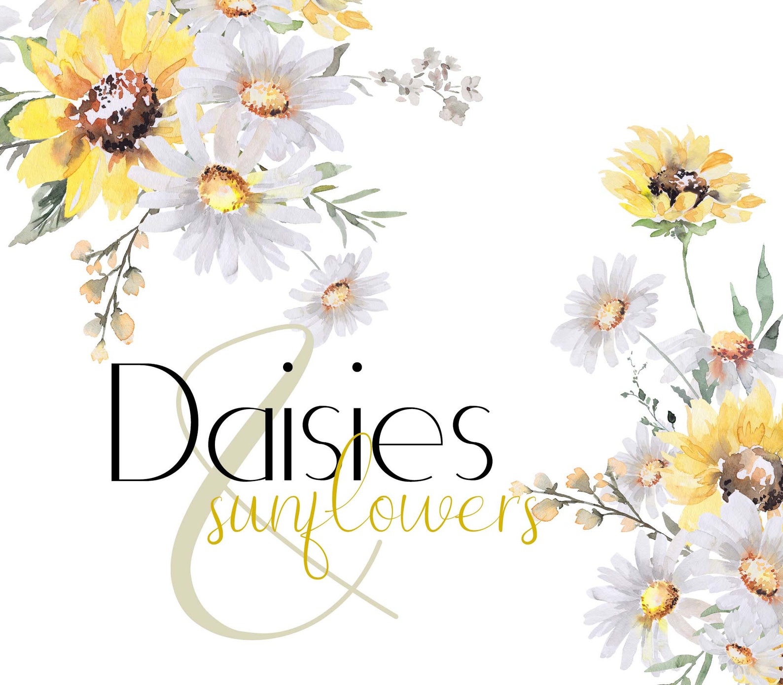Daisies & Sunflowers Clipart Watercolor Floral Clip Art White Daisy ...