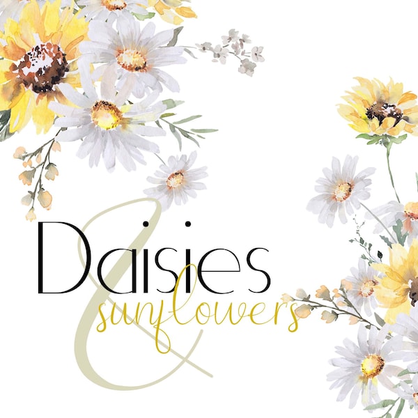 Sunflower Daisy - Etsy