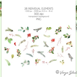 Christmas Greenery Clipart Watercolor Winter Cipart Red Berries Pine ...