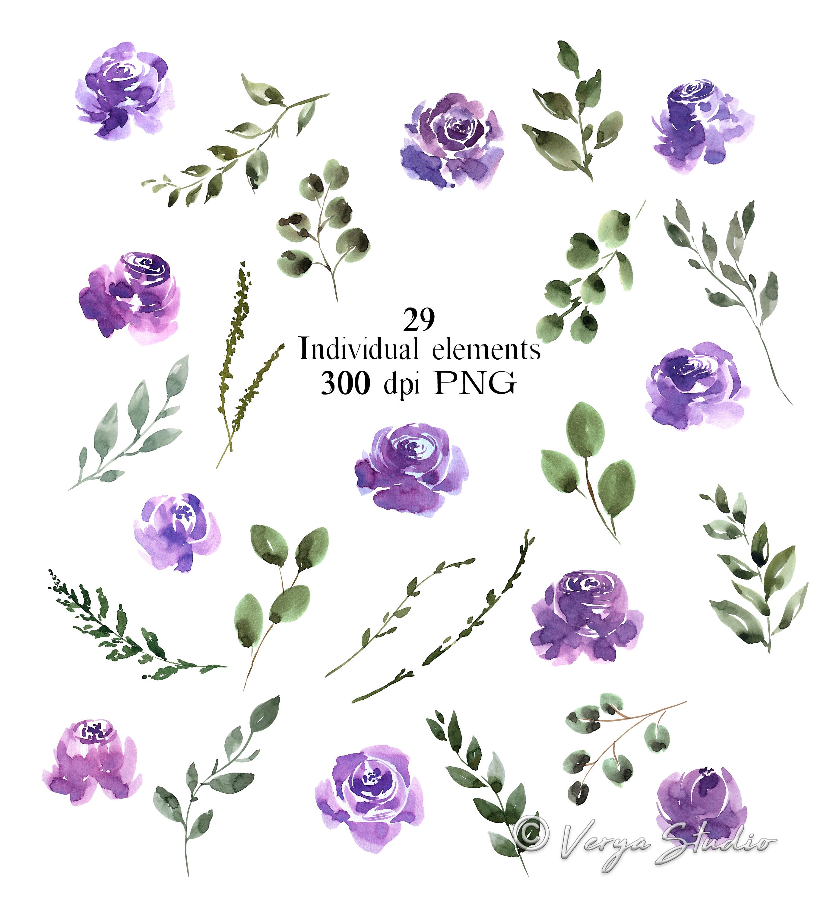 Purple Plum Watercolor Floral Clipart Roses Flowers Clip Art - Etsy