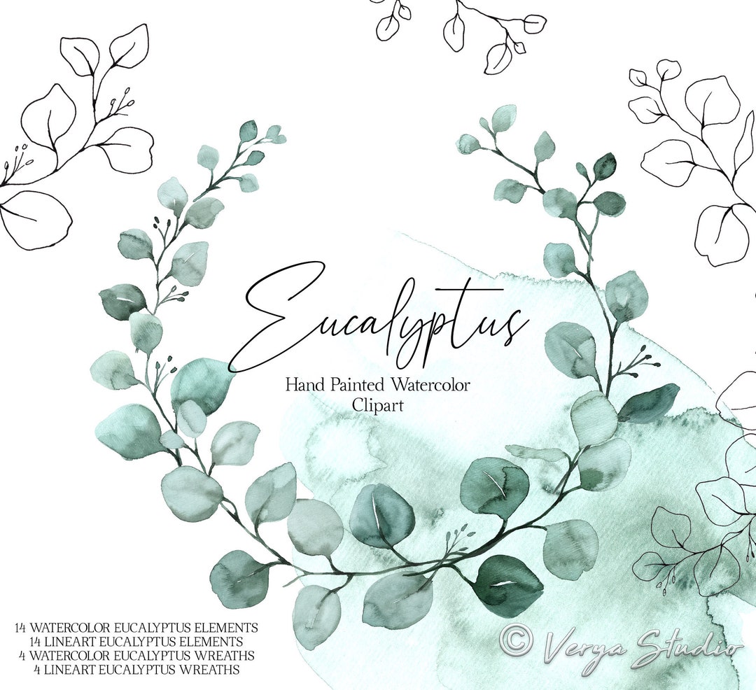Greenery Watercolor Eucalyptus Clip Art Lineart Foliage Wreaths Line ...