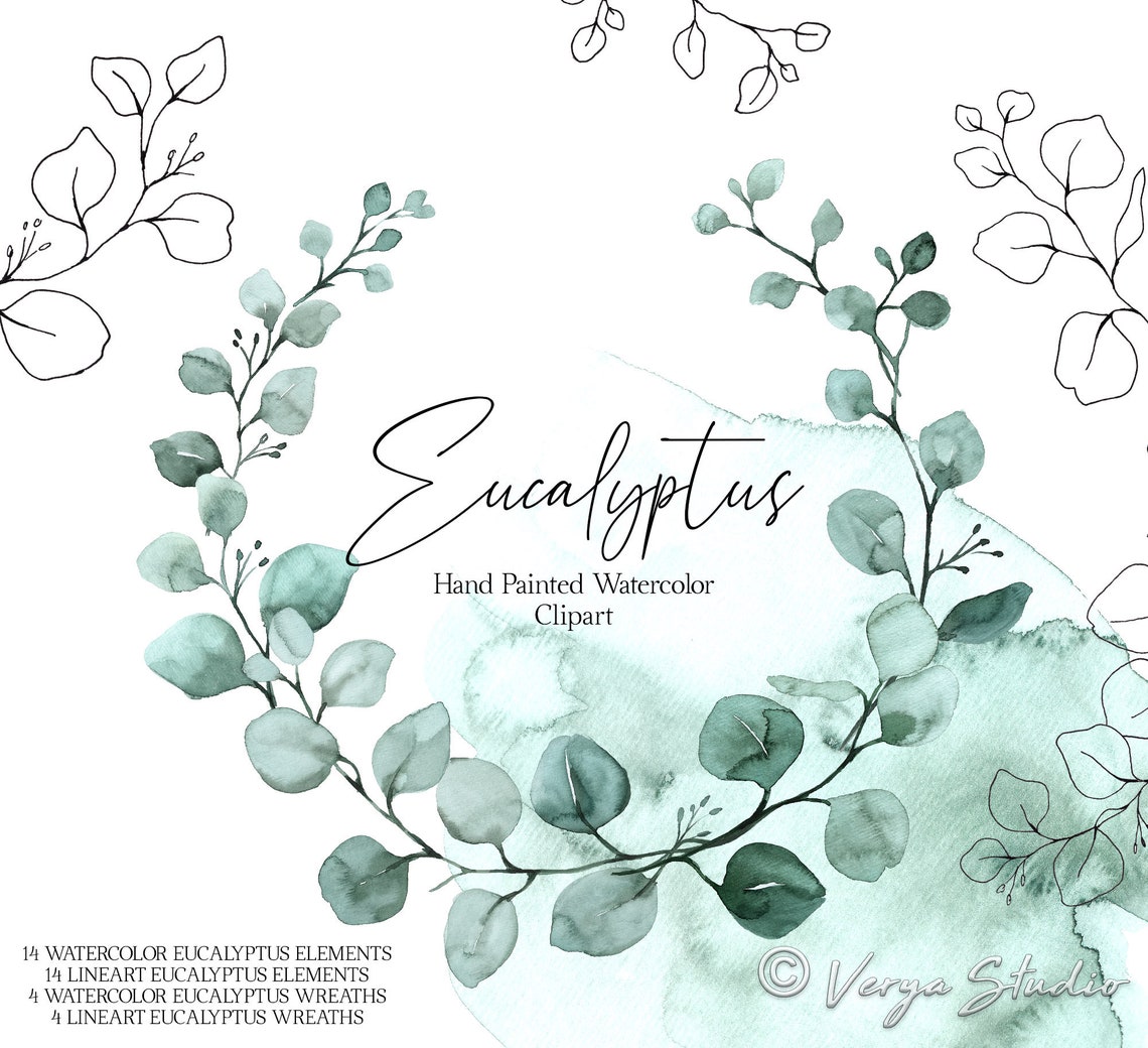 Greenery Watercolor Eucalyptus Clip Art Lineart Foliage - Etsy