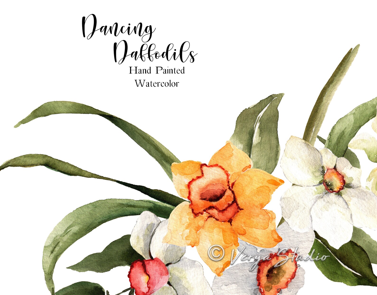 Daffodils Watercolor Floral Clipart 7 Spring Flowers Bouquets - Etsy