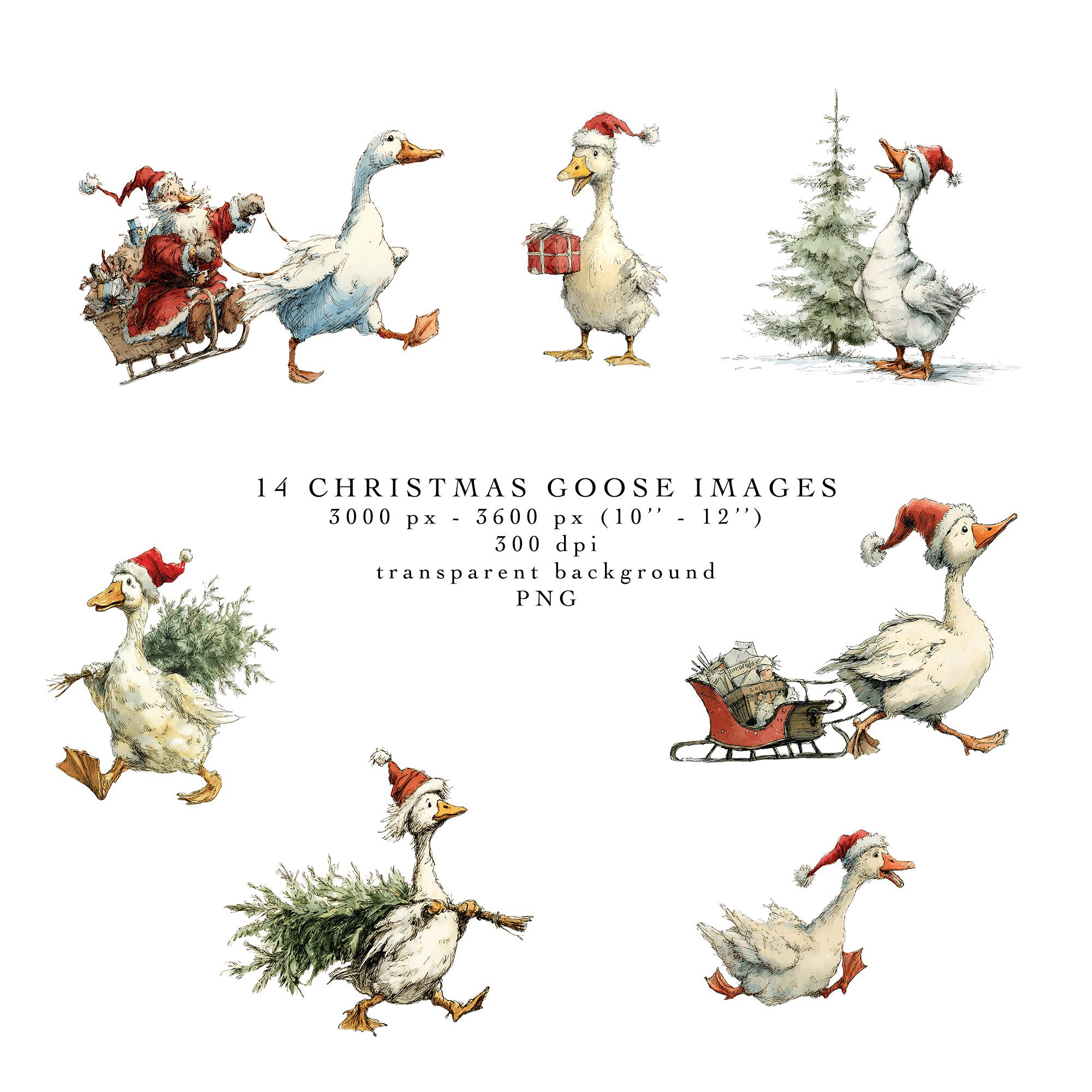 Goosemas Silly Goose Christmas Clipart, Watercolor Goose PNG, Funny ...
