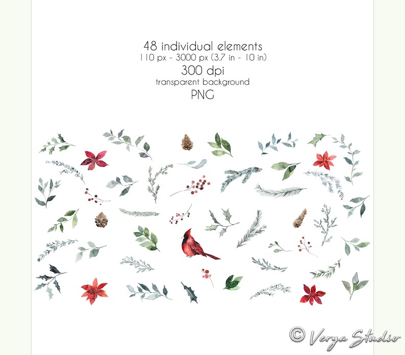 Christmas Clipart Watercolor Winter Clip Art Set Fir Juniper - Etsy