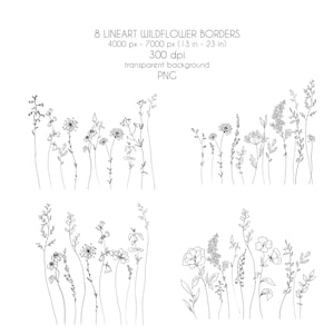 Wildflower Borders Clipart, Flower Meadow PNG, Flower Borders Lineart ...