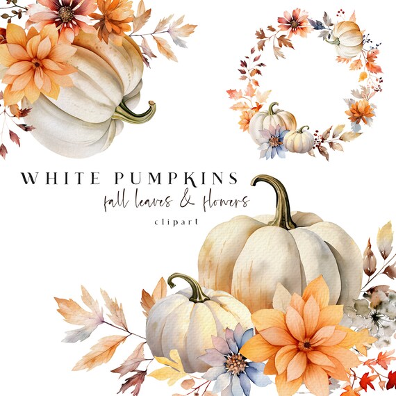 Calabazas-hojas De Otoño Y Flores-clip Art Calabazas Blancas