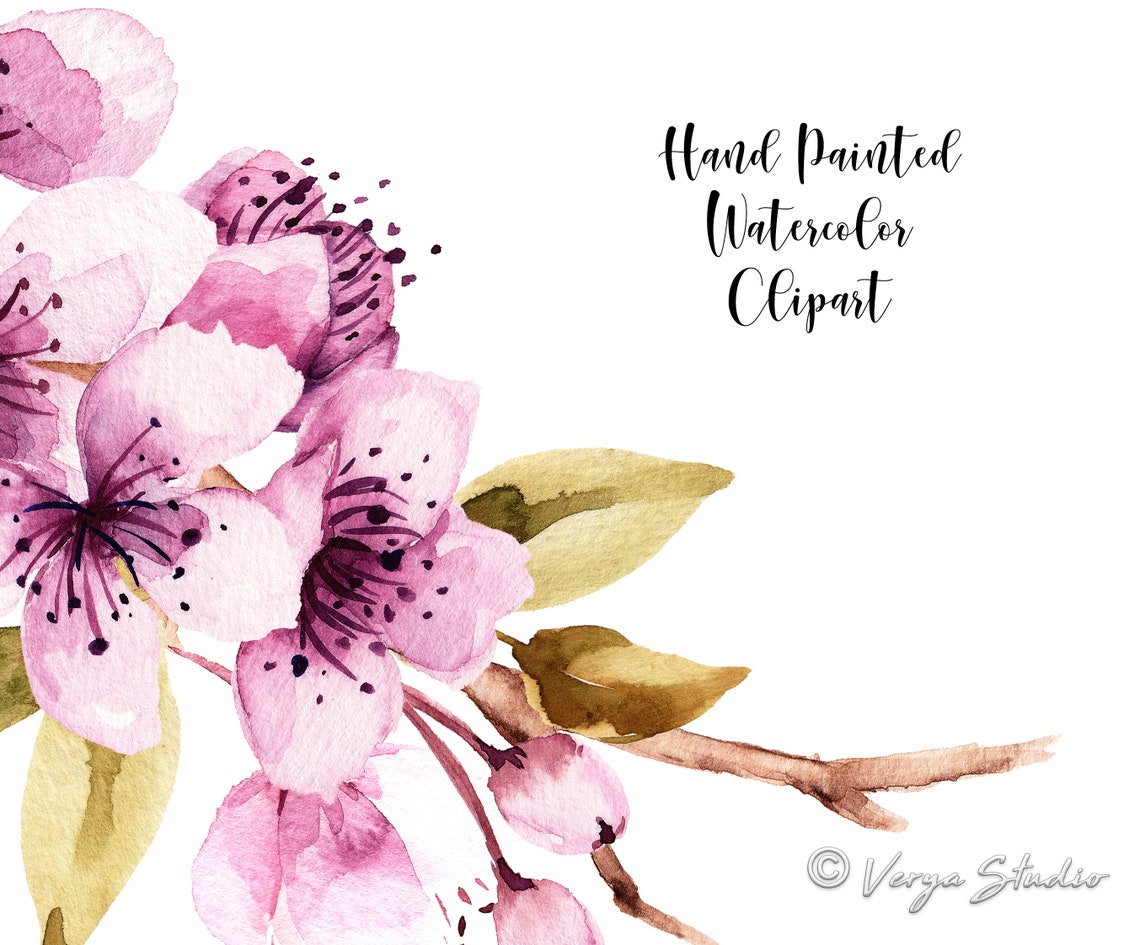 Sakura Cherry Blossoms Watercolor Floral Clipart. Watercolor - Etsy