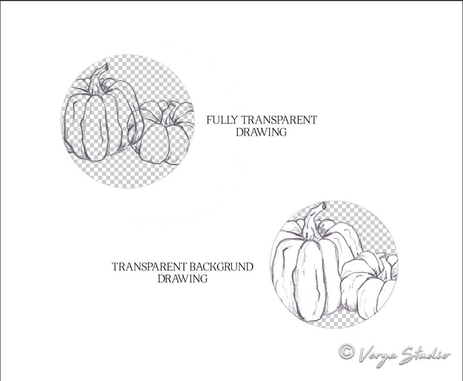 Fall Clipart Autumn Clip Art Hand Drawn Line Art Fall Illustrations ...