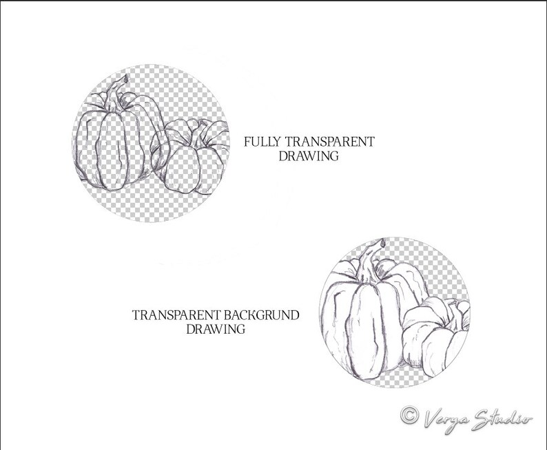 Fall Clipart Autumn Clip Art Hand Drawn Line Art Fall Illustrations ...