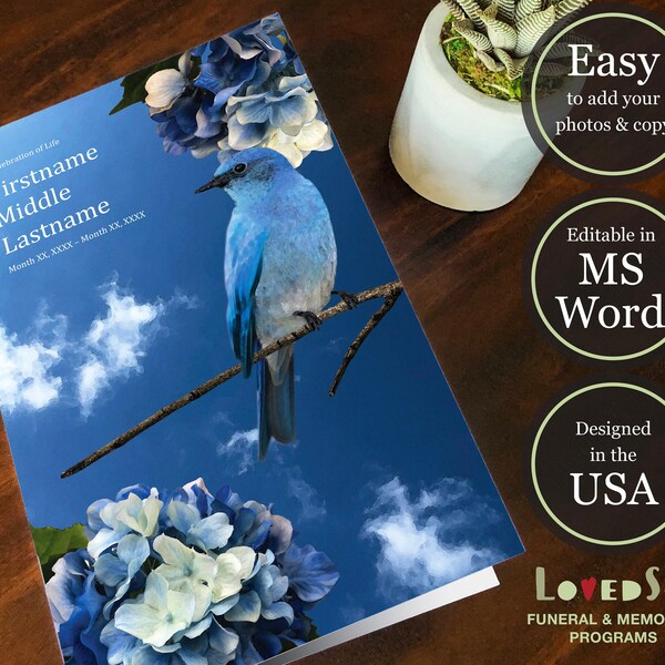 Hydrangea Program - Etsy