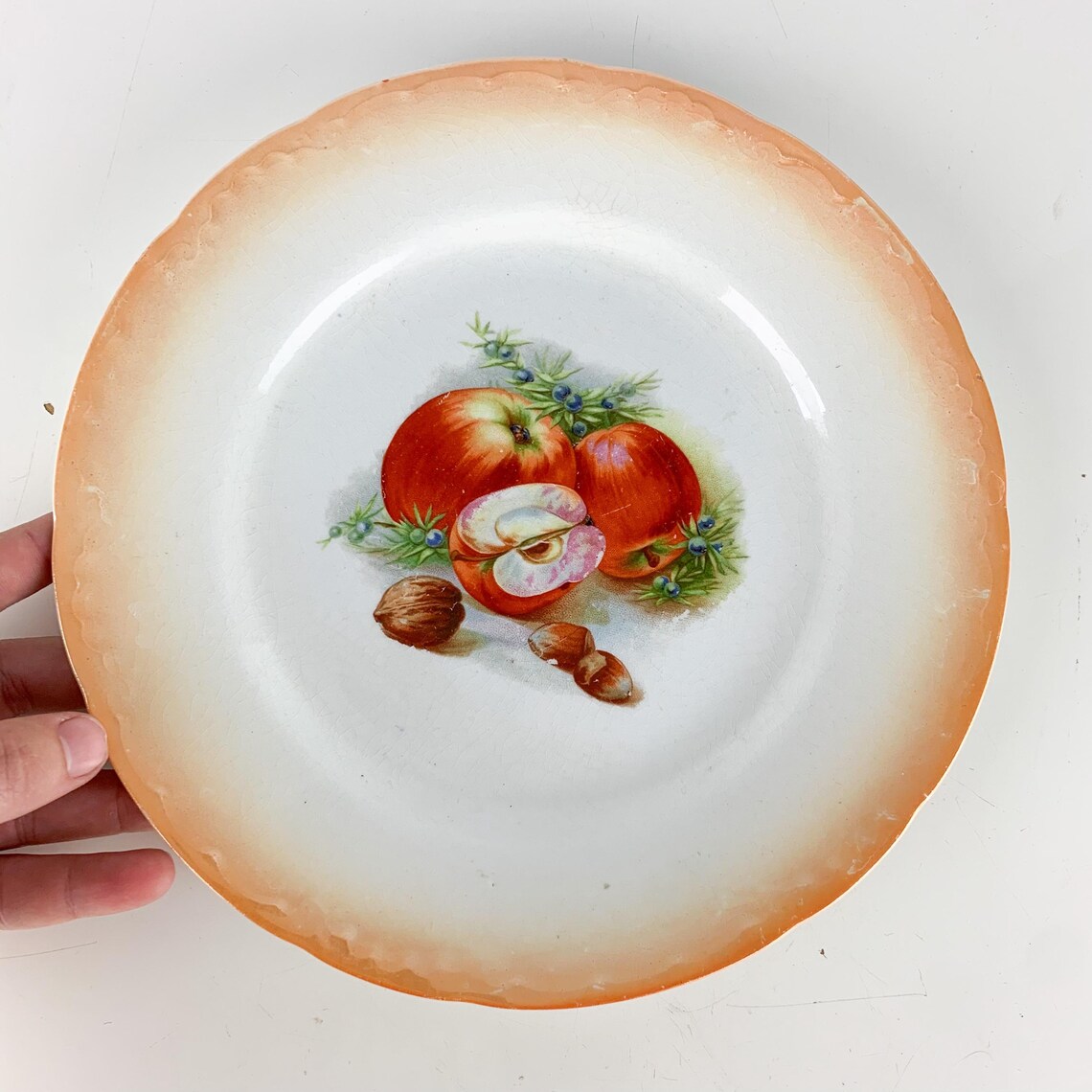 Vintage Hand Painted Porcelain Collector Plate Apples Nuts Fall Decor ...