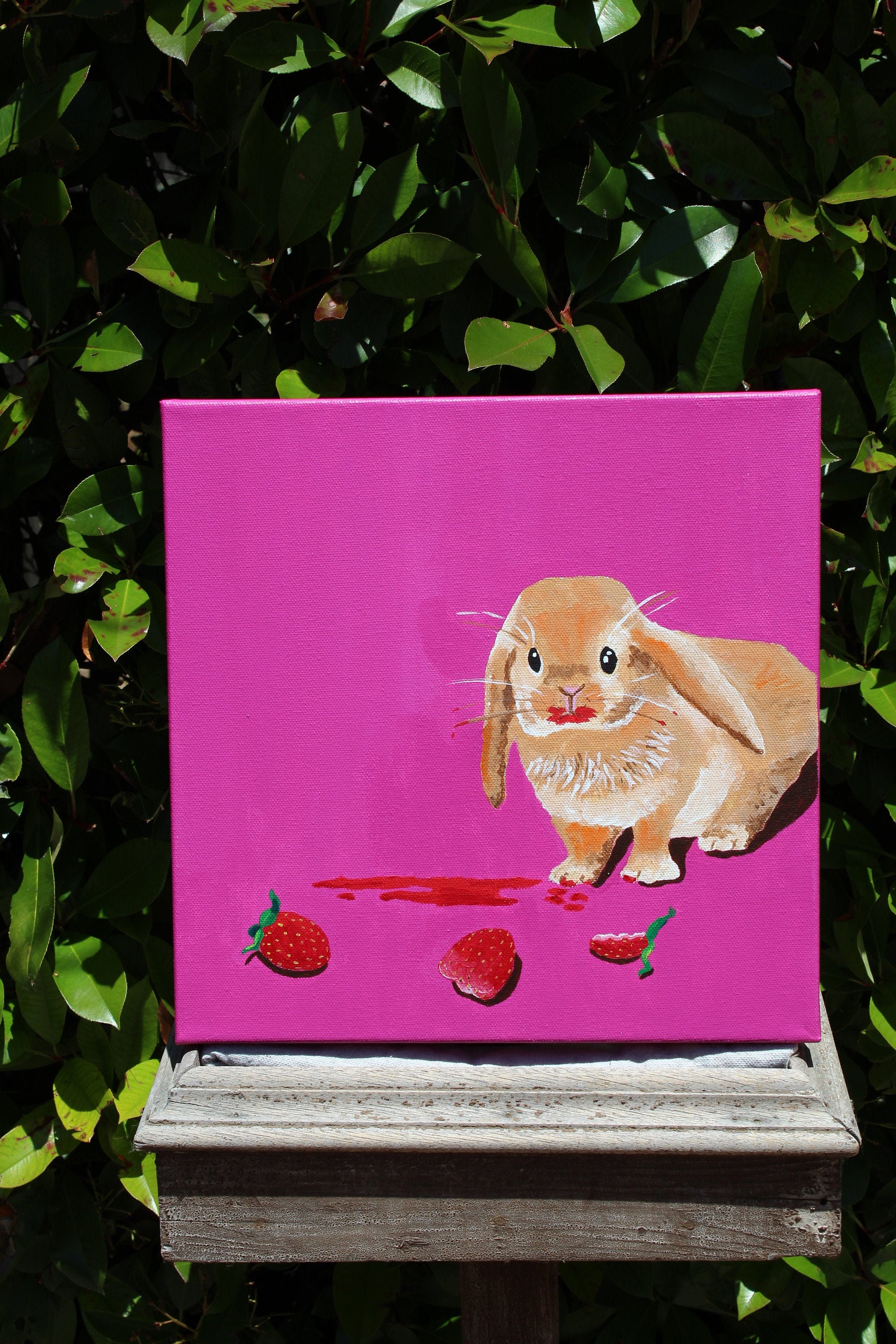 Acrylic Hand Painted Floppy Eared Rabbit Canvas - Etsy
