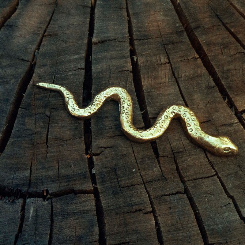 Bronze Snakes - Etsy Australia