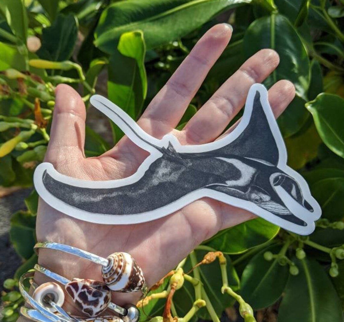 Manta Ray Sticker Manta Ray Decal Manta Laptop Sticker - Etsy