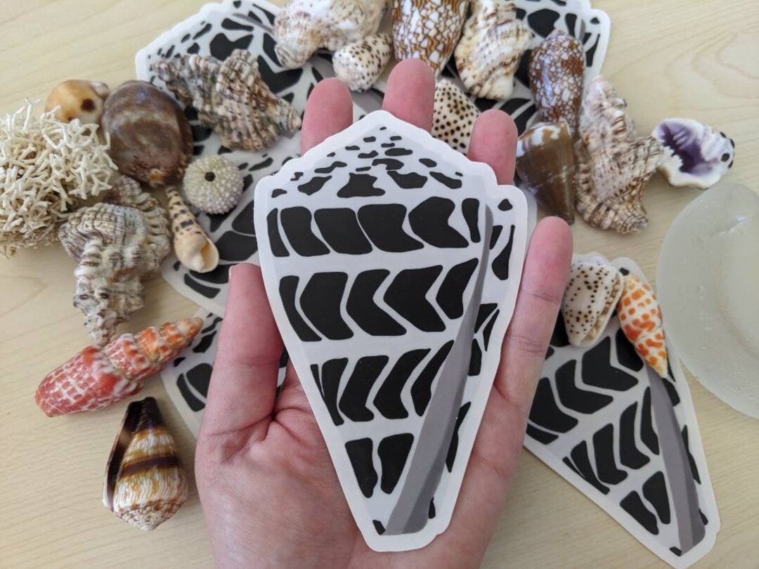 Hawaiian Seashell Sticker Hebrew Cone Shell Seashell Laptop Sticker ...