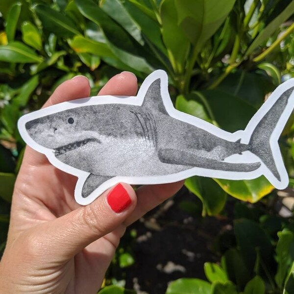 Great White Shark - Etsy